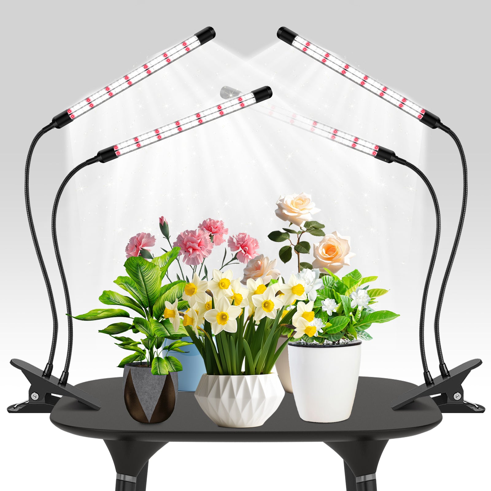 V2 2Pack 2Head LED Plant Lamp, Full Spectrum Plant Light with Auto on ...